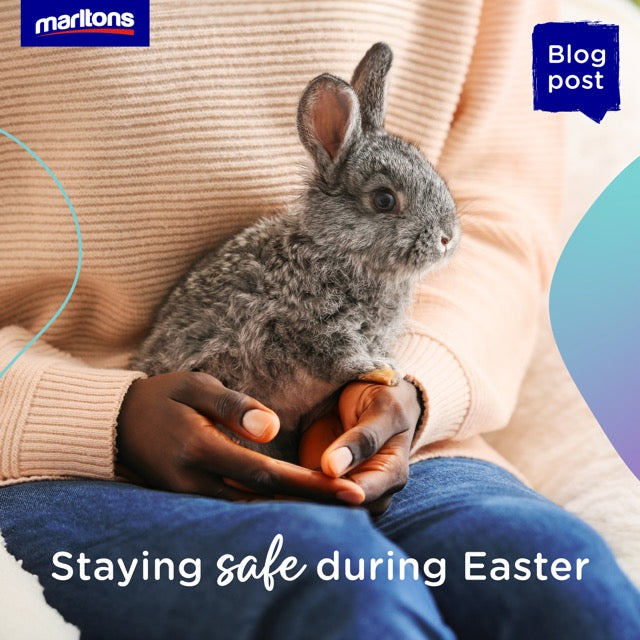 Easter safety tips for pets: How to keep your pets happy & healthy! – Marltons Pet Care